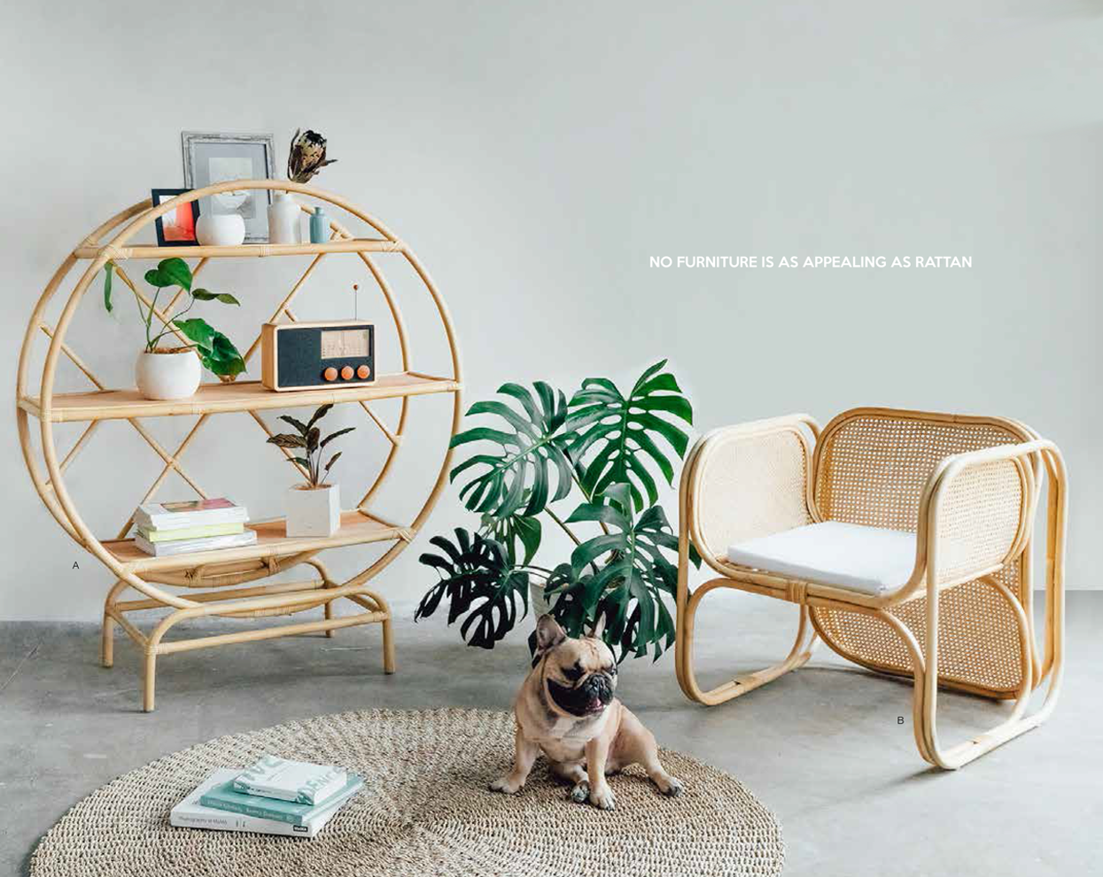 Sarinah | The Window of Indonesia